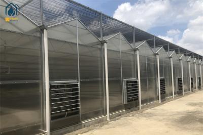 China Commercial Polycarbonate Greenhouse Durable Metal Framed Greenhouse For Organic Vegetable Farming for sale