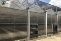 China Organic Herb Greenhouses Customized Polycarbonate Polyhouse With Automated Climate Control Systems for sale