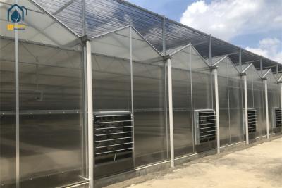China High Insulating Polycarbonate Green Houses Crop Farming Greenhouses UV Resistant for sale