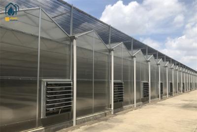 China Multi Wall Polycarbonate Greenhouse Customized Steel Framed Greenhouses Corrosion Resistant for sale