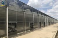 China Commercial Polycarbonate Green House Customized Heavy Duty Greenhouse For Fast Growing Crops for sale