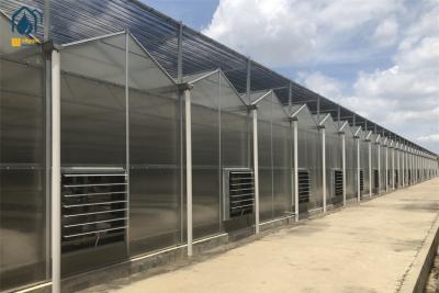 China Commercial Polycarbonate Green House Customized Heavy Duty Greenhouse For Fast Growing Crops for sale