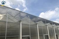 China Double Wall Polycarbonate Greenhouse Corrosion Resistant Steel Framed Greenhouse Customized for sale