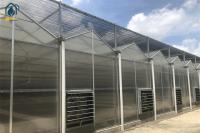 China UV Resistant Polycarbonate Greenhouses Agriculture Heavy Duty Greenhouses With Precision Climate Control for sale