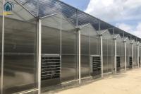 China Twin Wall Polycarbonate Greenhouse Smart Cultivation Automated Hydroponic Greenhouse for sale
