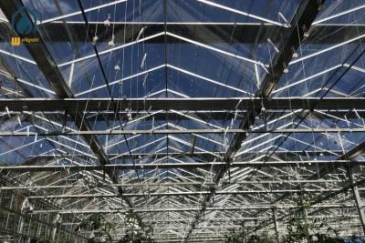 China Customized Glass Commercial Greenhouse Vegetables Flowers Seedlings Green House For Agriculture for sale