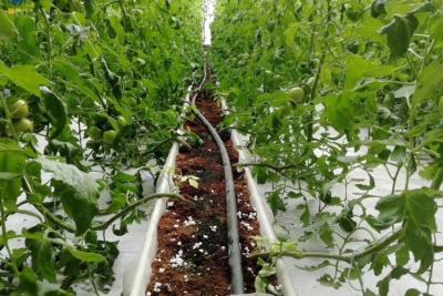 China Soilless Culture Hydroponic Trough PVC Vegetable Growing Trough White for sale