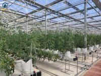 China Steel Hydroponic Gutter System Greenhouse Hydroponic Trough White For Tomatoes for sale