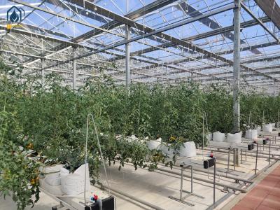 China Steel Hydroponic Gutter System Greenhouse Hydroponic Trough White For Tomatoes for sale