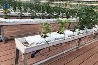 China Eco Friendly Hydroponic Gutter System NFT Hydroponic System For Tomatoes for sale