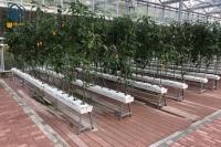 China U Type Hydroponic Trough System Agricultural Vegetable Growing Troughs Eco Friendly for sale