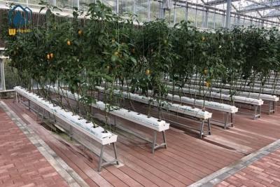 China U Type Hydroponic Trough System Agricultural Vegetable Growing Troughs Eco Friendly for sale