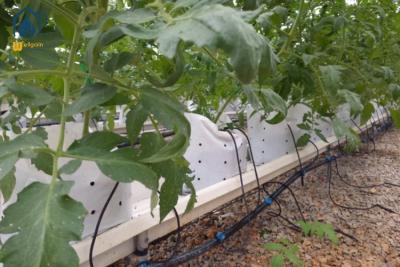China PVC Hydroponic Trough Systems Vertical Planting Hydroponic Systems For Tomatoes for sale