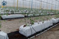China Rectangular Garden Growing Trough 100m Hydroponic Gutter Systems Planting with Cocopeat for sale