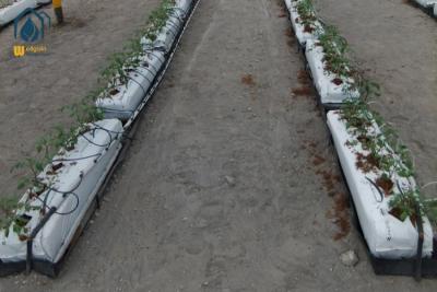 China Nutrients Hydroponic Growing Troughs Eco Friendly Tomato Growing Trough Rectangular for sale