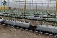 China Folding Greenhouse Growing Troughs Agriculture Gutter Growing Systems Eco Friendly for sale