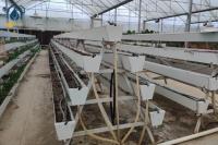 China Agricultural Strawberry Gutter Systems PVC Hydroponic Trough Modern for sale