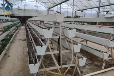 China Agricultural Strawberry Gutter Systems PVC Hydroponic Trough Modern for sale