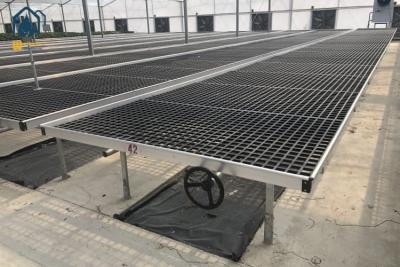 China Metal Rolling Bench Trays Customized Seedling Plastic Trays With Welding Wire Mesh for sale