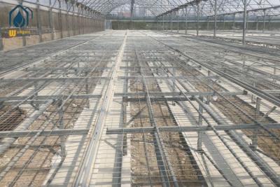China Agriculture Hydroponic Rolling Tables Moveable Rolling Greenhouse Benches Welded Mesh for sale