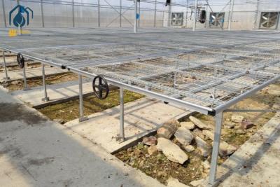 China Customized Greenhouse Rolling Benches Adjustable Rolling Grow Room Tables Agricultural for sale