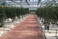 China Corrosion Resistant PVDF Coated Heavy Duty Steel Gutter Planting System for Commercial Greenhouse for sale