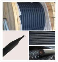 China Continuous  Impressed Current Cathodic Protection MMO/Ti Linear Anodes ICCP for sale