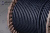 China Mixed Metal Oxide Activated Titanium Wire Piggyback Mmo Anode Polymer Linear Anodes for sale