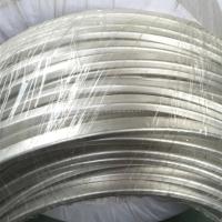 China Readily Corrosion Resistant Aluminum Ballast Tank Anode FLEX 44 Condenser Anode for sale