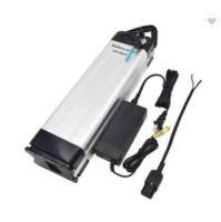 China Multifunctional 48V Silverfish Ebike Battery for E Scooter Zhenlong Samsung Mifa for sale