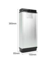 China Silver E Bike Battery Replacement 48V for E-Go Wondervelo Hapex City Line for sale
