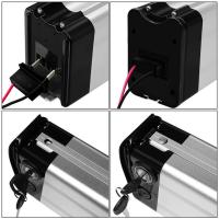 China 250W Brushless Aluminum Alloy E Bike Lithium Battery with 48V Battery Voltage for sale