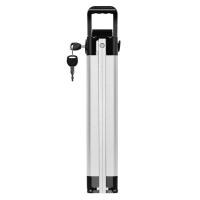China 250W Brushless Aluminum Alloy E Bike Lithium Battery with 48V Battery Voltage for sale