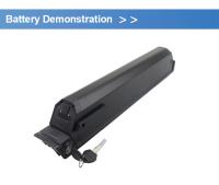 China 48V 15Ah Lithium Ion E Bike Battery for 500W-1000W Motor for sale