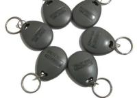 China 125kHz RFID Keyfob TK4100 Proximity ID Card Chip ABS Keychain for Access Control 41x33mm for sale