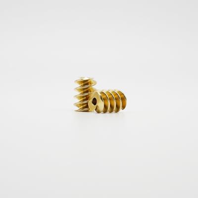 China Custom Precision Worm Shaft and Worm Gear for Low-Noise Power Transmission for sale