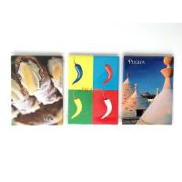 China Tin Photo Magnetic Souvenir Offset Printable Custom Advertising Magnets for sale