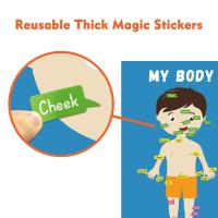 China Removable Body Learning Custom Dry Erase Poster Board 48x36