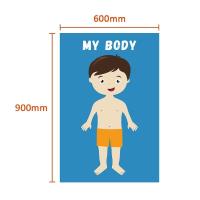 China Removable Body Learning Custom Dry Erase Poster Board 48x36