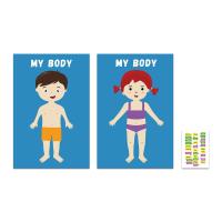 China Removable Body Learning Custom Dry Erase Poster Board 48x36