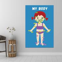 China Removable Body Learning Custom Dry Erase Poster Board 48x36
