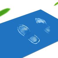 China Sole Dust Removal Reusable Sticky Mat For Home Office Warehouse for sale