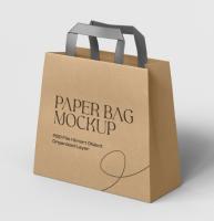 China Customized Art Paper Bag Providing Superior Print Compatibility And Artistic Expression Perfect For Creative Industries for sale