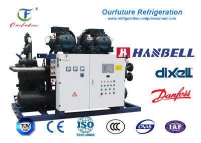 China Garlic Cold Room Hanbell  Condensing Unit Danfoss Valves PLC for sale