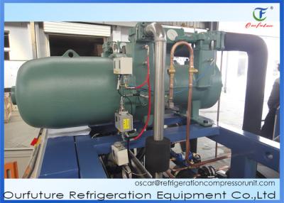 China Low Noise Freezer Condensing Unit Screw Refrigeration Units For Cold Rooms for sale