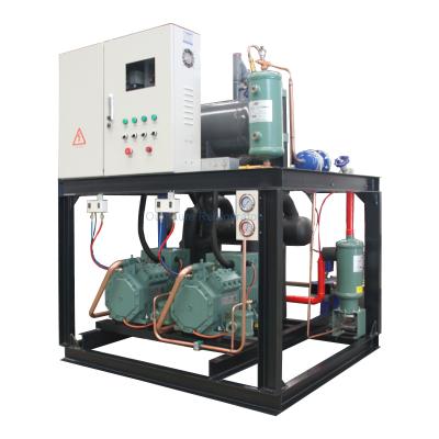 China Screw Type - Single Stage Parallel Connection Optimized Cooling Solution With Rack Model Refrigeration Compressor Unit for sale