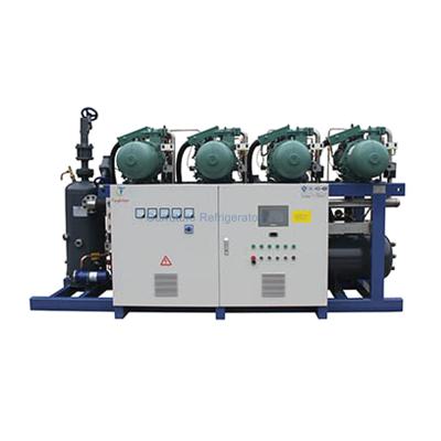 China CSH Compressor Unit Supports Personalized Customization For Optimal Cooling Effect for sale