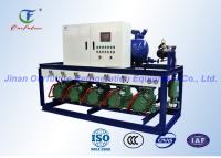 China Garlic Cold Storage Cool Room Refrigeration Unit with Hanbell / Bock Compressor for sale