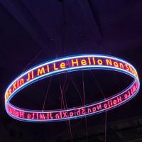 China Waterproof LED Neon Flex Toroidal Ring Landscape Lamps for Color Changing Decoration for sale