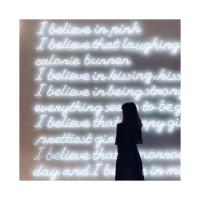 China Custom LED Neon Lights Sign for Hang or Hoist Installation in Contemporary Style for sale